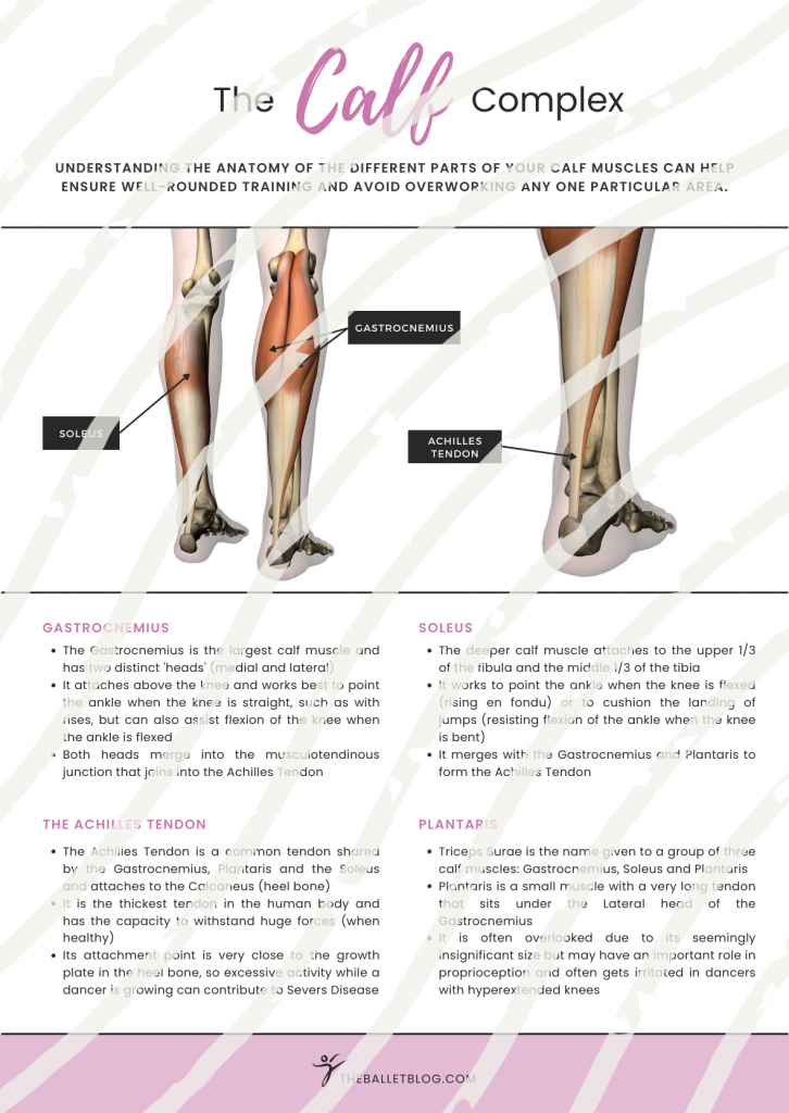 The Foot Series – PDF Posters – The Ballet Blog
