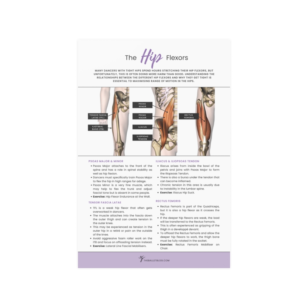 The Hip Flexors (The Hip Series) – The Ballet Blog