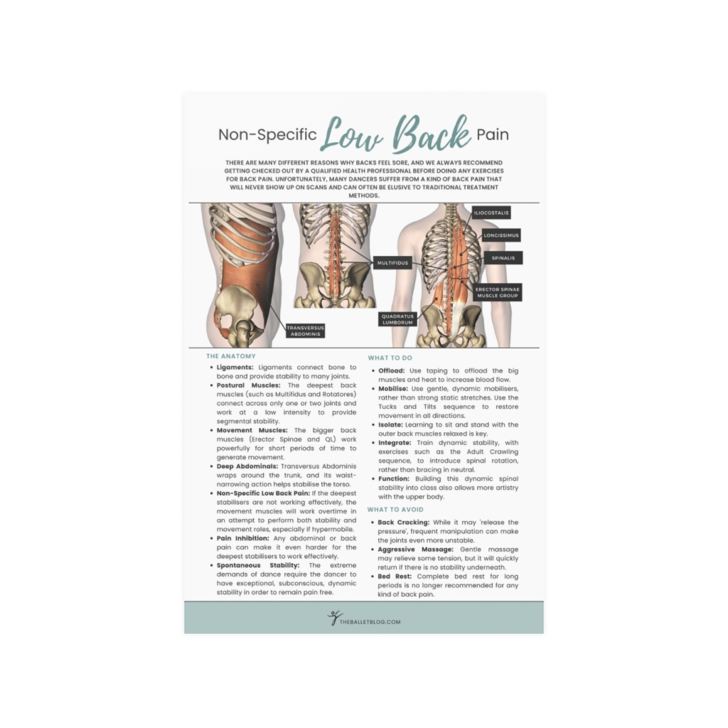 Low Back Pain (Common Injury Series) – The Ballet Blog